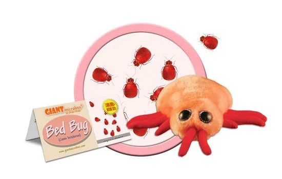 GiantMicrobes Bed Bug Key Chain | Riverview Gardens & Gifts